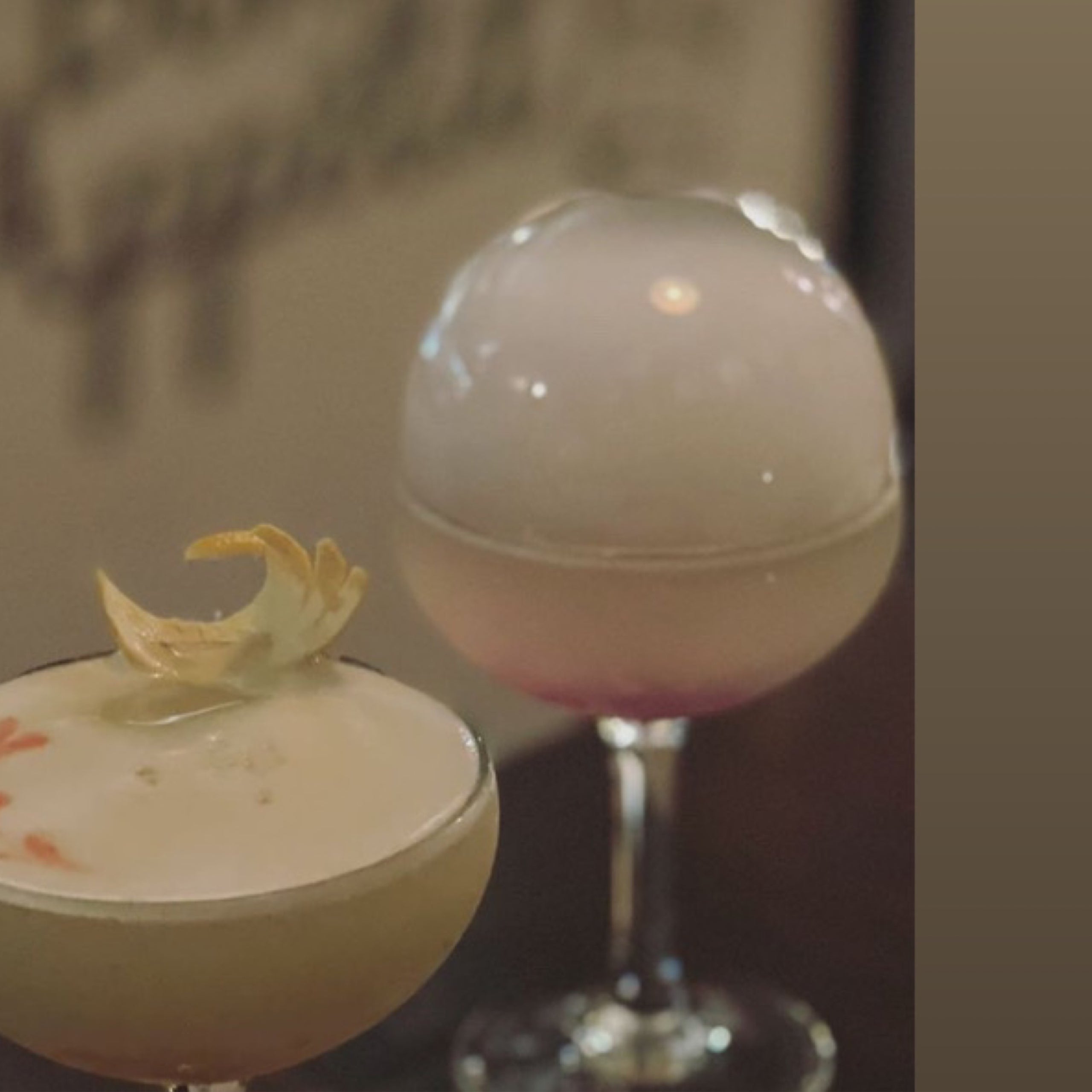 Japanese Greyhound | Noah’s Cafe